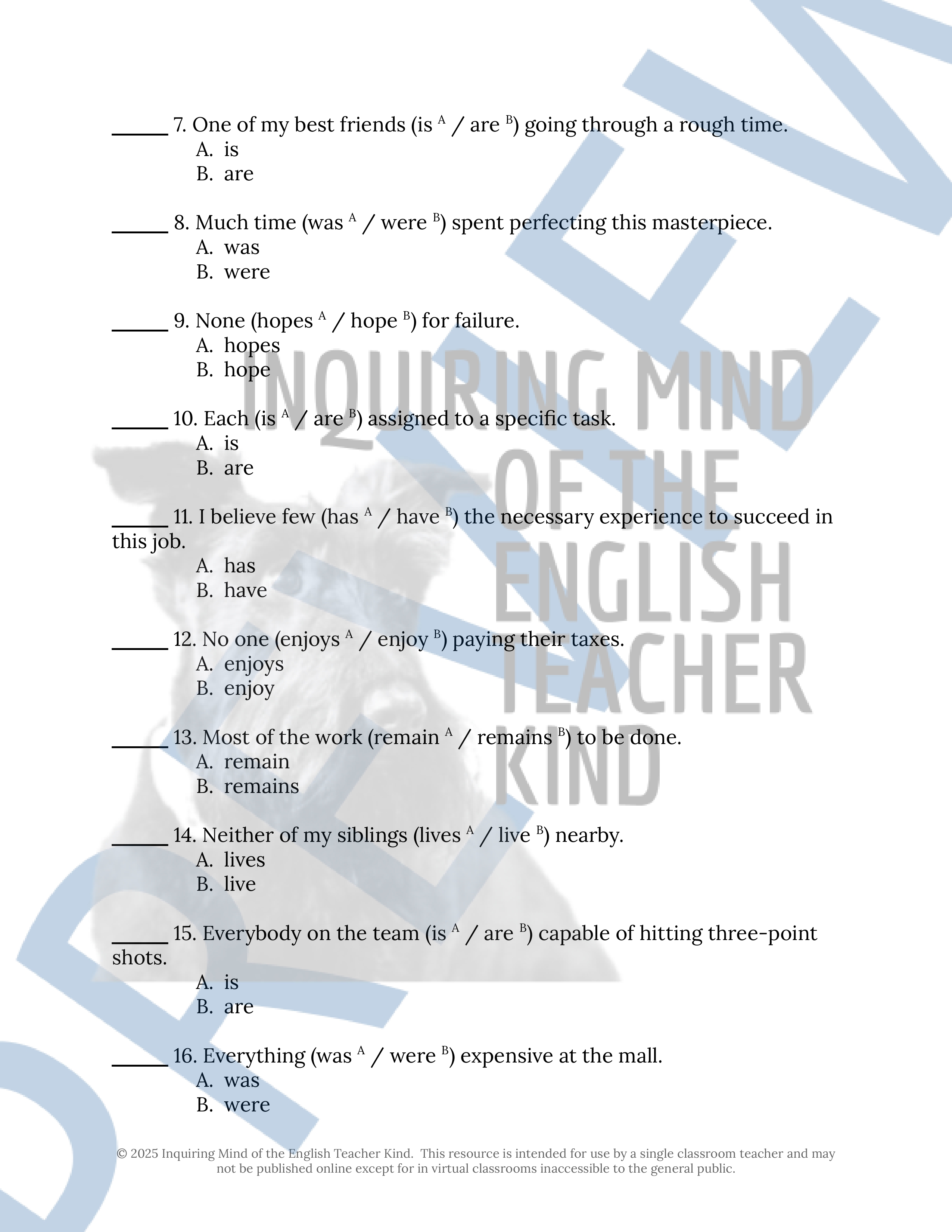 Grammar Review Practice Worksheet on Singular and Plural Indefinite ...