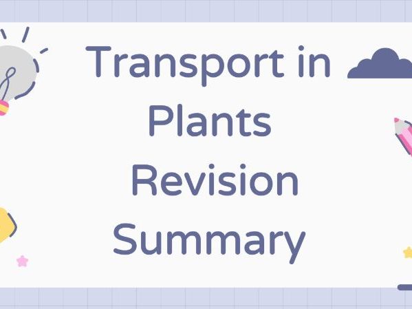 IGCSE Biology - Transport in Plants - Revision Powerpoint and worksheet ...