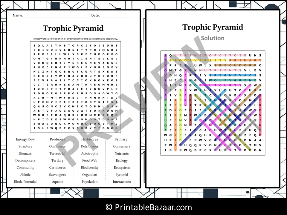 Trophic Pyramid Word Search Puzzle Worksheet Activity | Teaching Resources