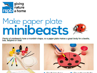 Investigating minibeasts with EYFS | Tes