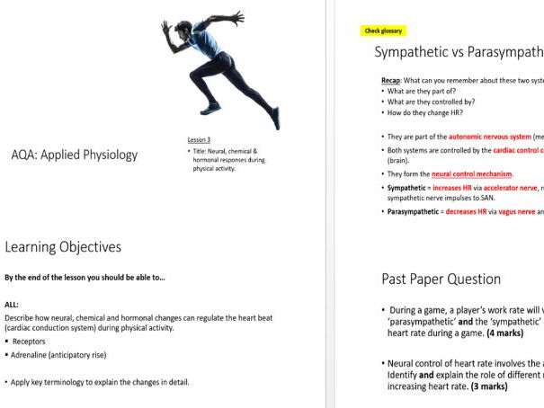 AQA NEW SPEC - Full Powerpoints for Year 1 Applied Anatomy & Physiology ...
