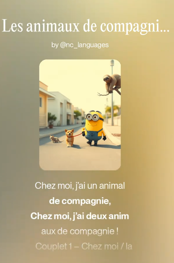 07. FRENCH SONG Year 7. Unit 7: Les animaux de compagnie (Lyrics ...