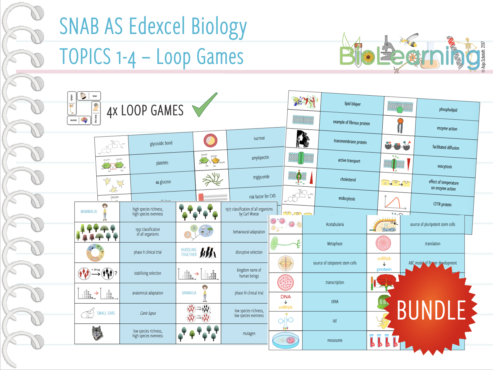 SNAB Biology Topics 1-4 - Loop Games | Teaching Resources