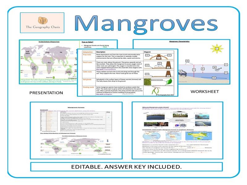 Mangroves | Teaching Resources