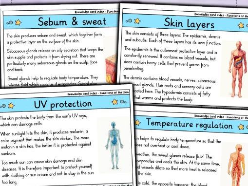Functions of the Skin - Flashcards | Biology | Protection, Regulation ...