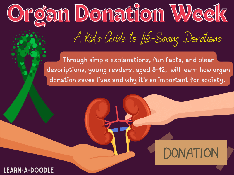 September's Organ Donation Week: A Kid’s Guide to Life-Saving Donations ...