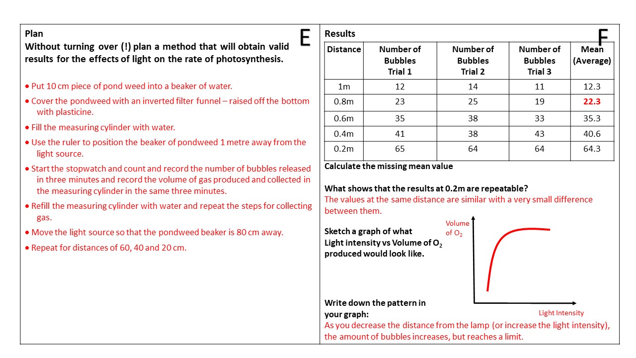 Biology Biochemistry Worksheet