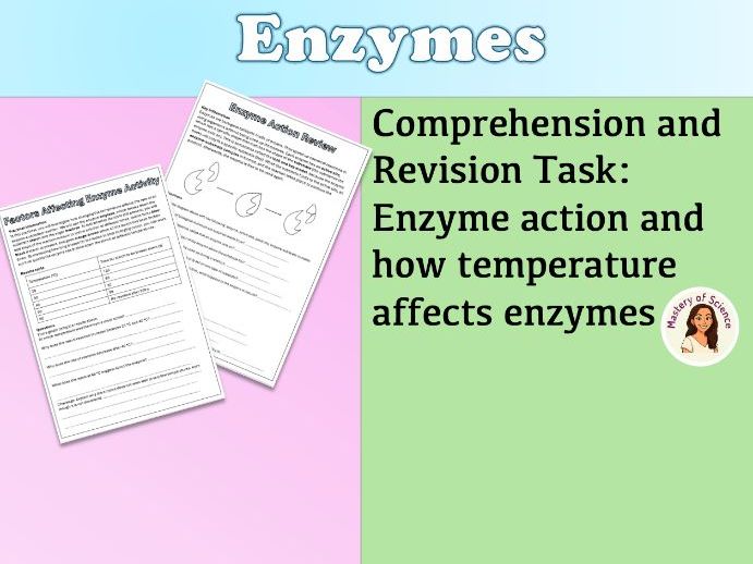 Enzyme action and factors affecting enzyme worksheet | Teaching Resources