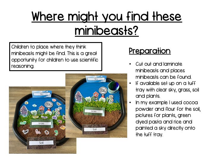 Minibeasts provision pack | Teaching Resources