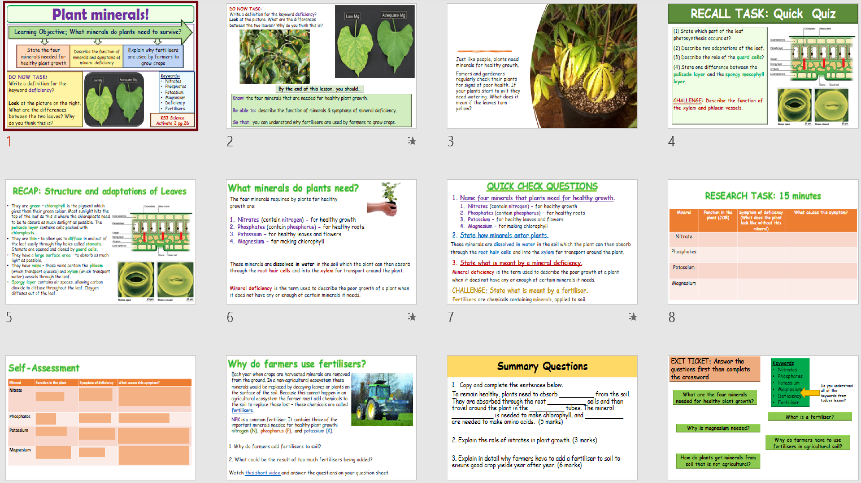 Plant Minerals KS3 Activate Science | Teaching Resources