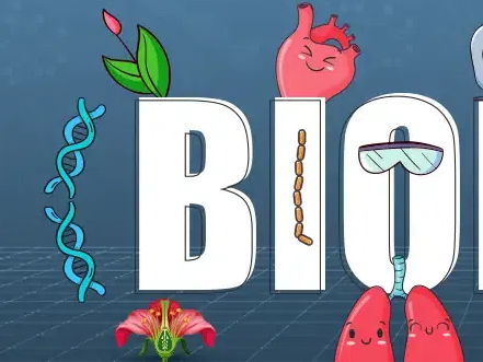 KS3 Biology Revision Booklets | Teaching Resources