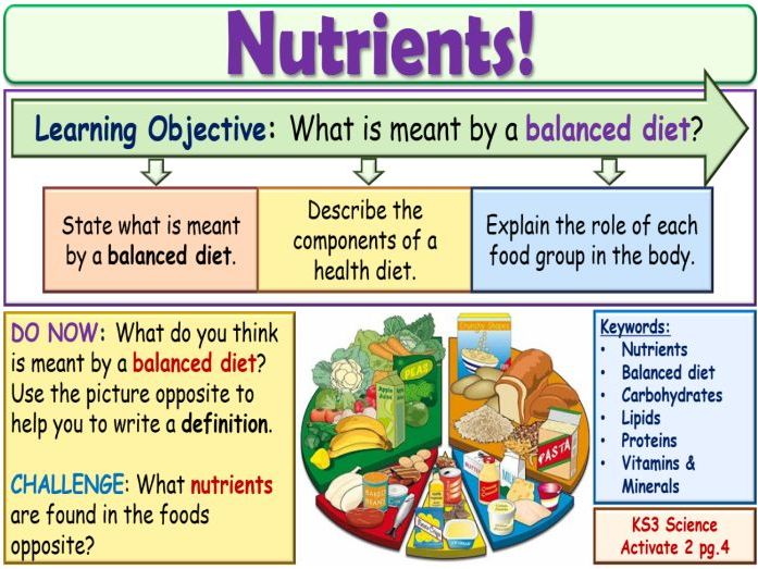Health and Lifestyle Activate 2 KS3 Science Bundle | Teaching Resources