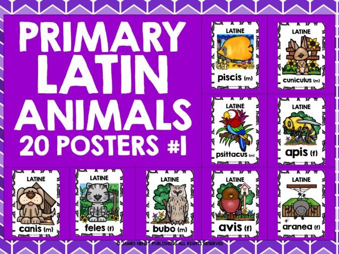 Secondary latin language and literature resources