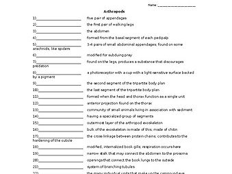 Invertebrate Biology Review Products Bundle | Teaching Resources