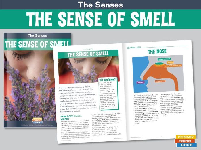 The Sense of Smell | Teaching Resources