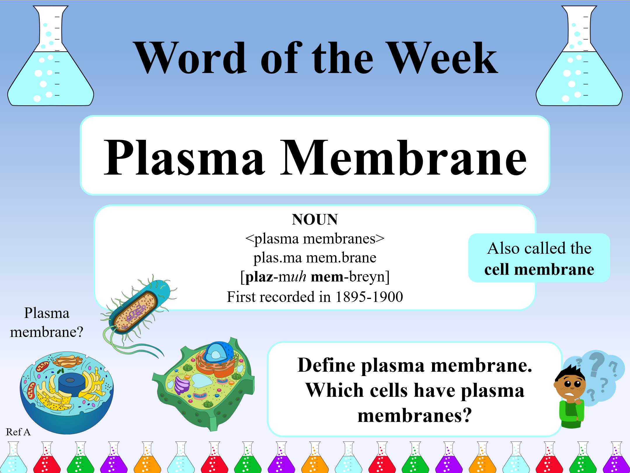 Two weeks of Cellular Transport Bellringers Warm Ups with Answer Key ...