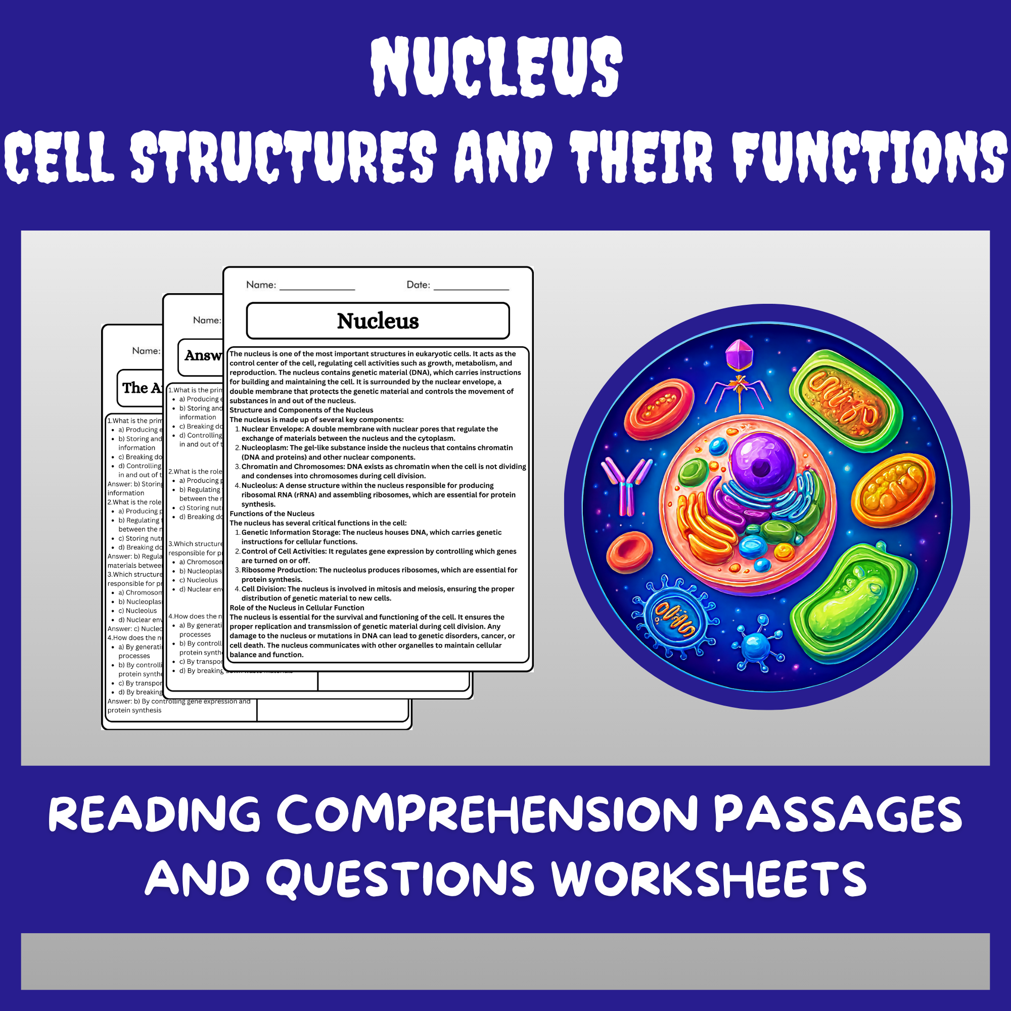Nucleus - Cell Structures and Their Functions Reading Comprehension ...