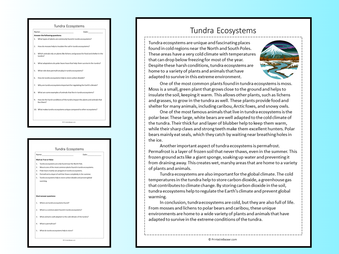 Tundra Ecosystems Reading Comprehension Passage Printable Worksheet ...