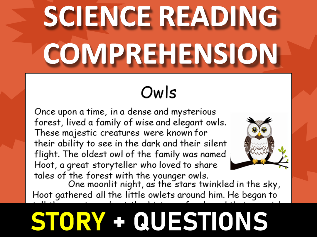 Owls Reading Science Story Comprehension Questions Worksheet | Teaching ...