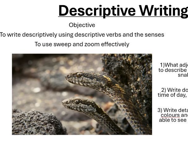 Snakes Vs Iguanas Descriptive Writing | Teaching Resources