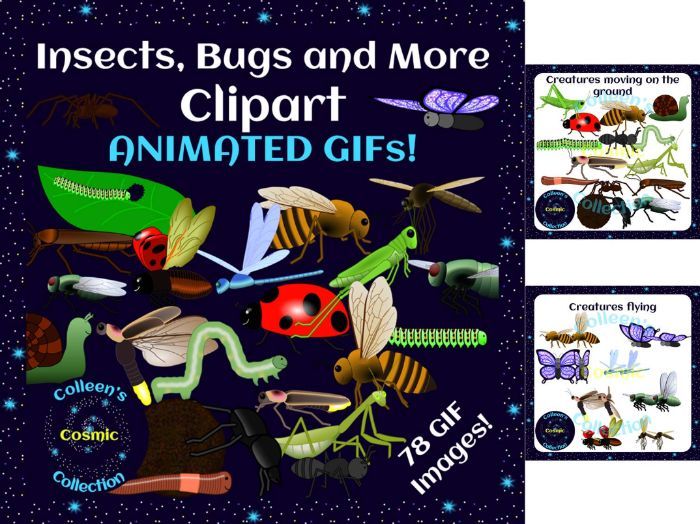 Animated GIF Insects and Bugs Clipart BUNDLE | Teaching Resources
