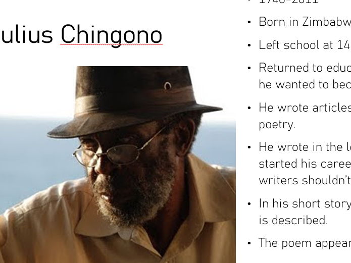 At The Bus Station by Julius Chingono | Teaching Resources