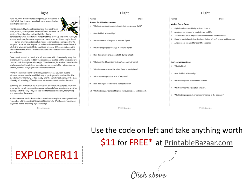 Flight Reading Comprehension Passage Printable Worksheet | Teaching ...