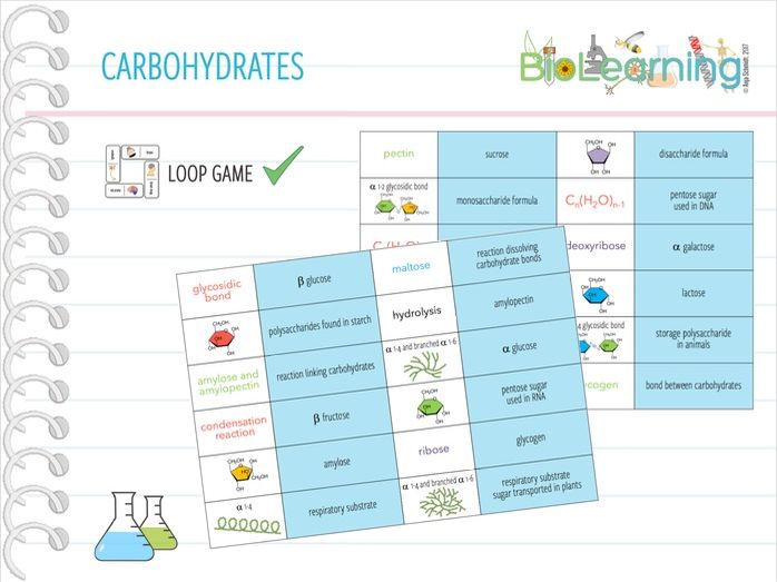 Carbohydrates - Loop Game (KS5) | Teaching Resources