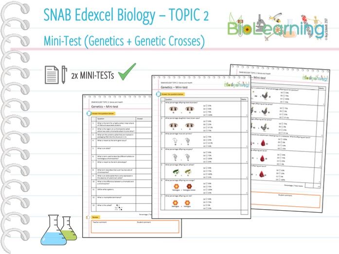 Genetics and Genetic Crosses - 2x Mini-tests (KS5) | Teaching Resources