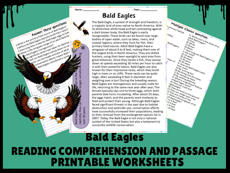 Discovering Bald Eagles: Engaging Reading Passage & Interactive ...