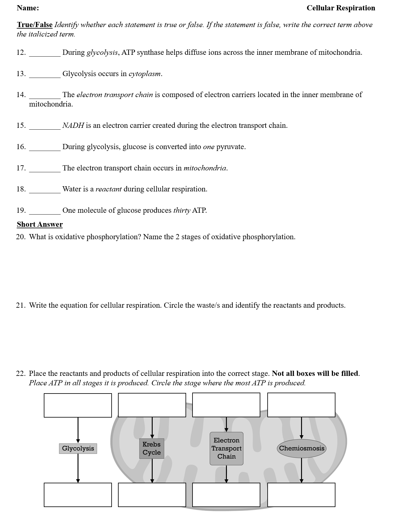 Cellular Respiration Test, Review Questions, and Answer Keys | Teaching ...