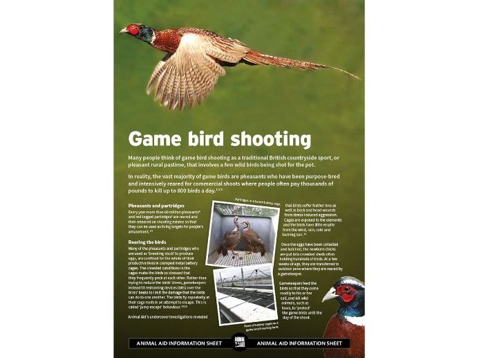 Game bird shooting factsheet | Teaching Resources