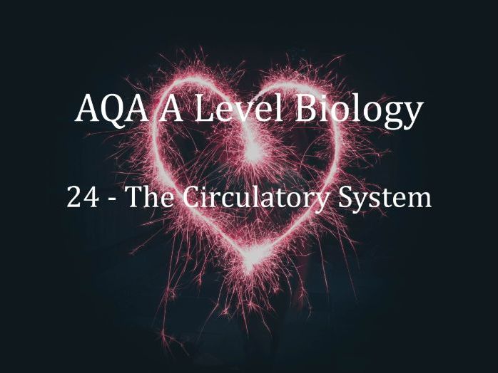 AQA A Level Biology Lecture 24 - The Circulatory System | Teaching ...