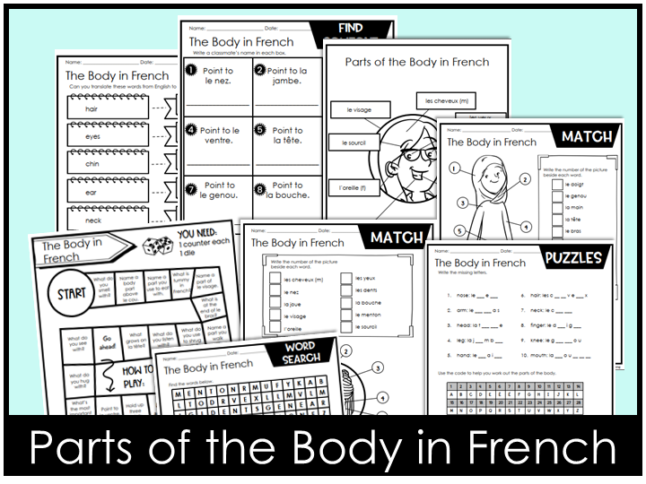 Beginner French Parts of the Body Vocabulary Les Parties du Corps ...
