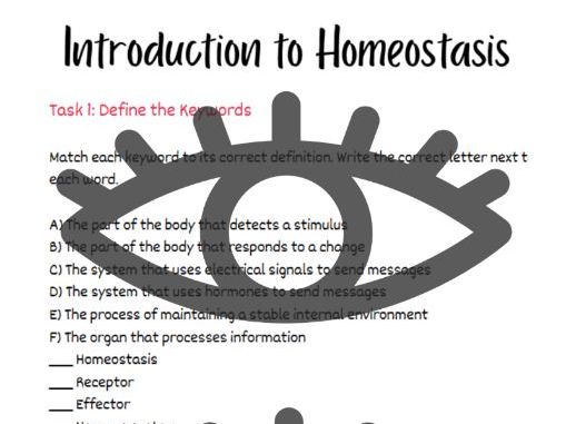 Introduction to Homeostasis | Teaching Resources Introduction to Homeostasis | Teaching Resources