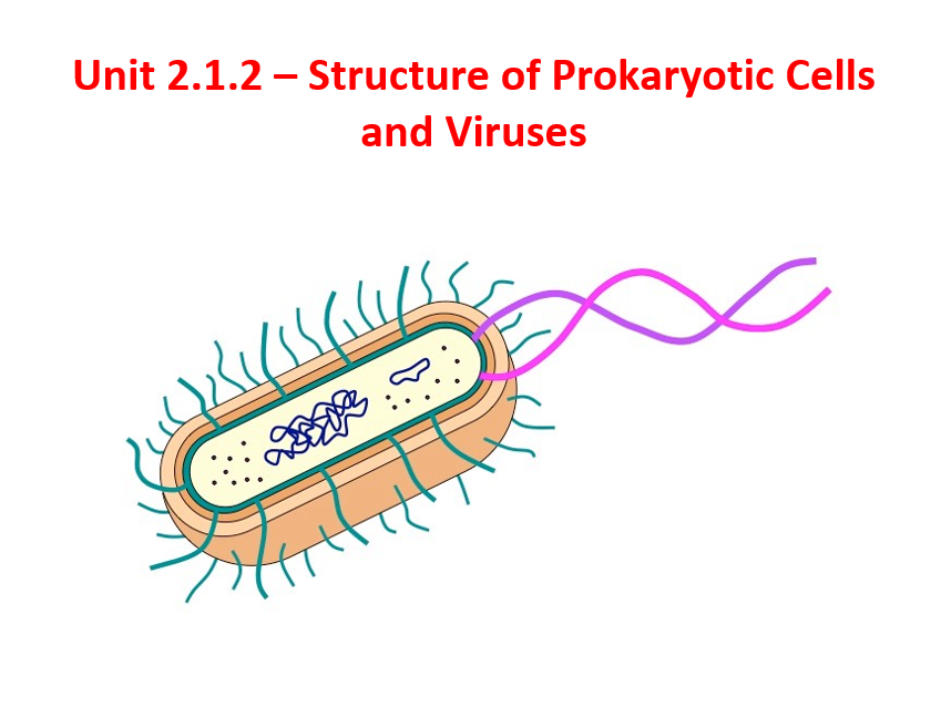 Secondary biology resources