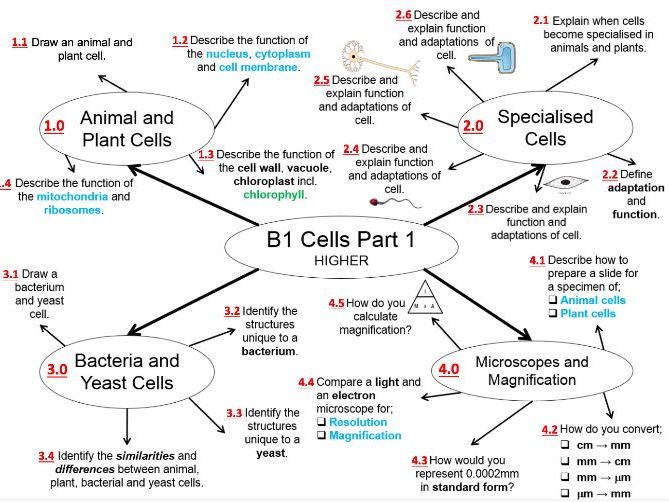 B1-1 - GCSE AQA Biology TREBLES - 'Cells.' | Teaching Resources