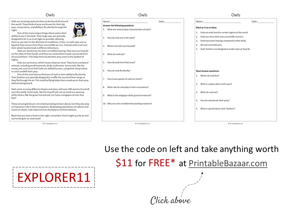 Owls Reading Comprehension Passage Printable Worksheet | Teaching Resources