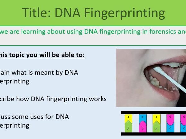 Detection in Biology ~ KS3 ~ Bundle ~ Year 9 | Teaching Resources