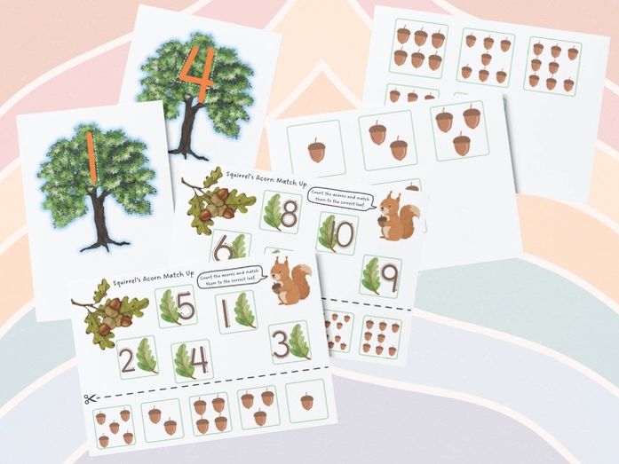 Maths - Squirrel's Acorn Match Up (Count & Match) | Teaching Resources