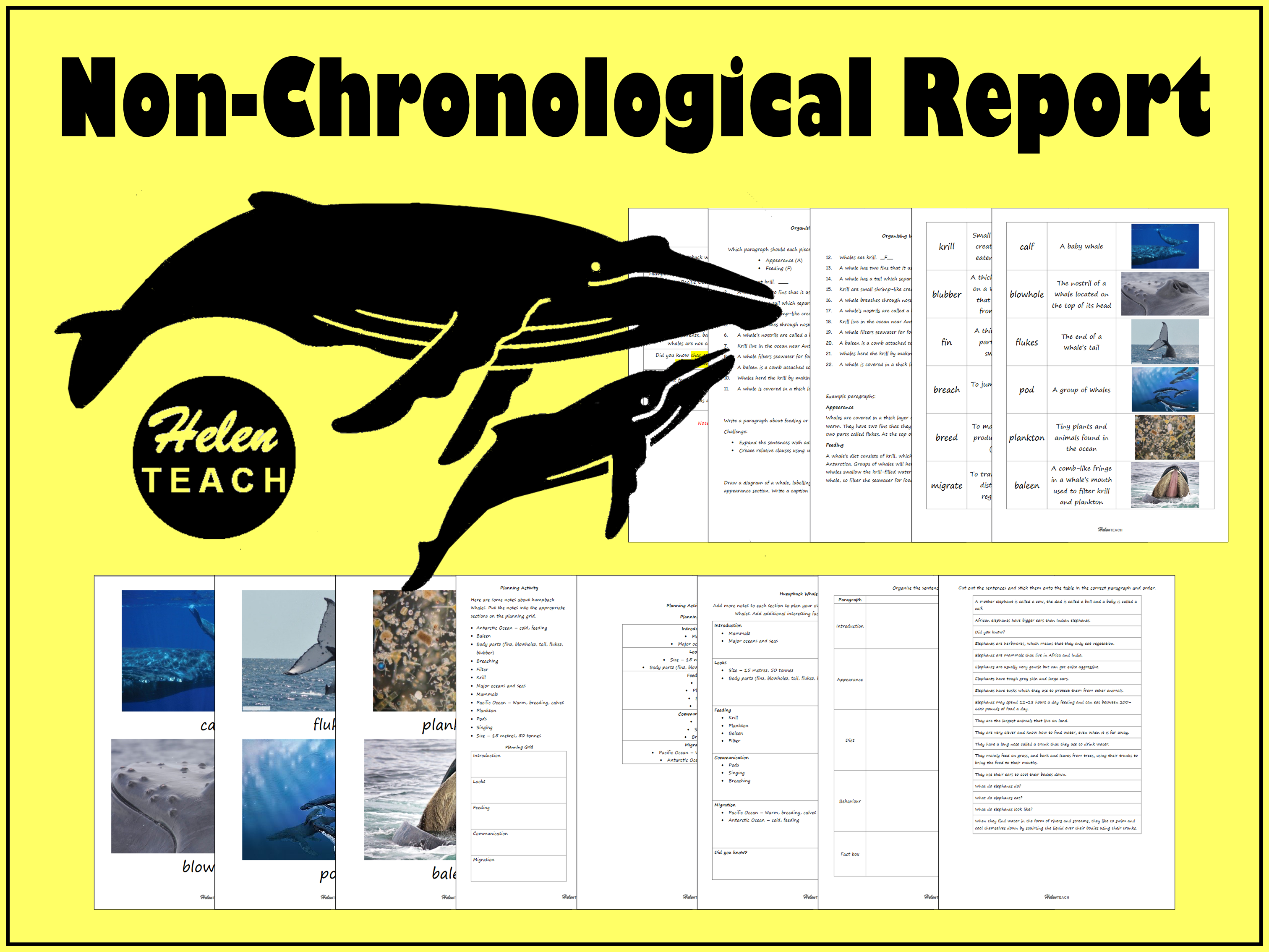 Humpback Whale Non-Chronological Report Pack | Teaching Resources