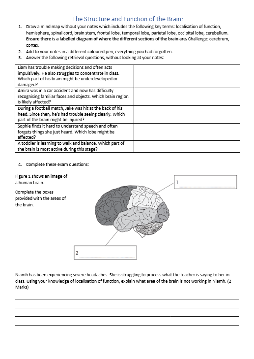 Brain and Neuropsychology Homework Booklet | Teaching Resources