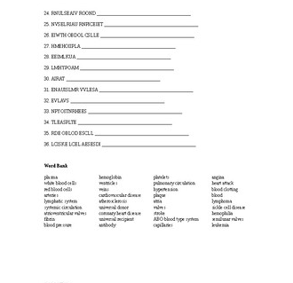 Cardiovascular System Word Scramble for Middle School Science ...