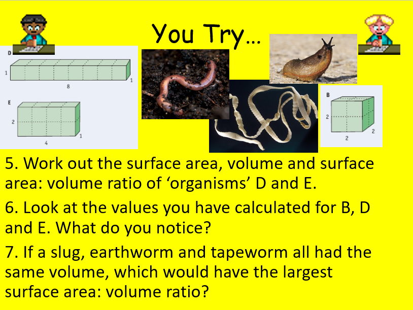 Edexcel A Level Biology Spec A Salters-Nuffield Topic 2 Genes and ...