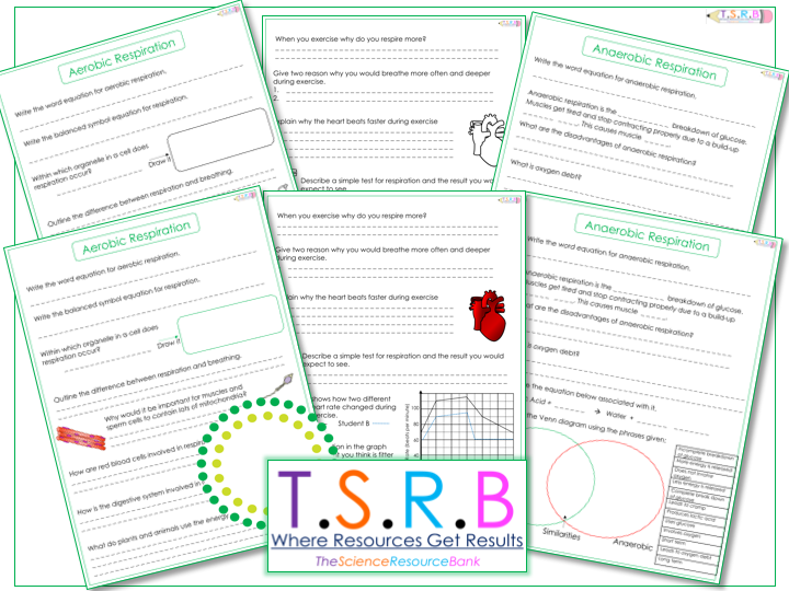 Respiration Aerobic And Anaerobic Worksheet Inc Answers Teaching Respiration Aerobic And Anaerobic Worksheet Inc Answers Teaching