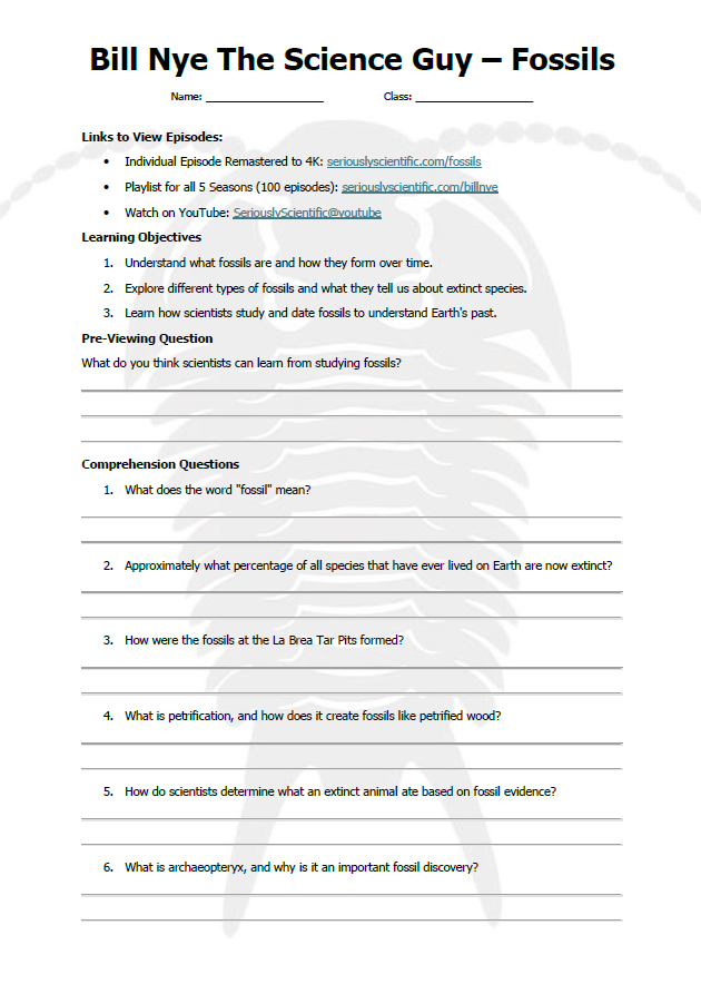 Bill Nye The Science Guy | Fossils | 4K | Worksheet | Teaching Resources