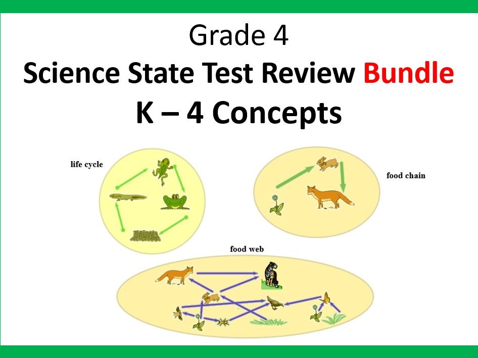 Grade 4 State Test Review Bundle Math Science State Tests 