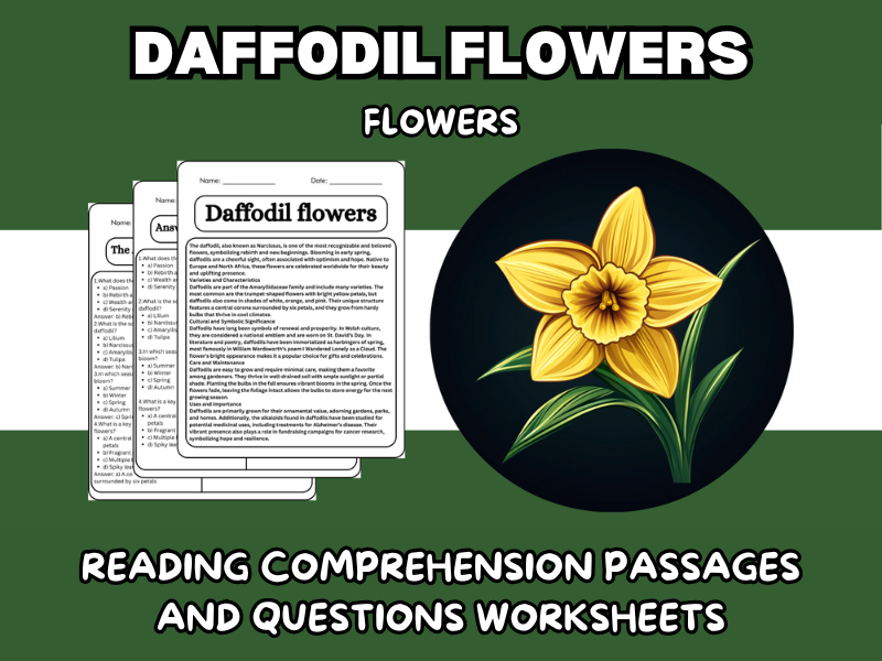 Daffodil Flowers - Flowers Reading Comprehension Passages & Questions Worksheets | Teaching ...