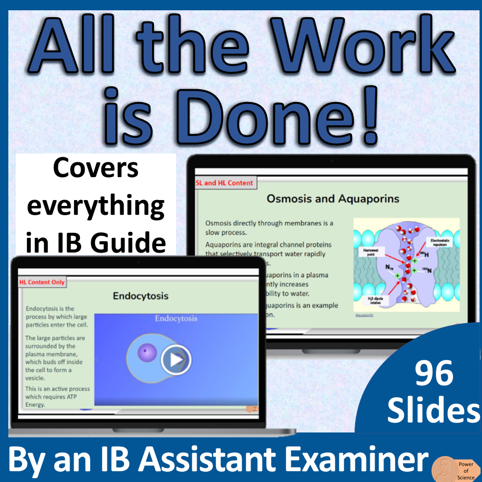 IB Biology B2.1 Membranes and Membrane Transport - First Exams 2025 ...