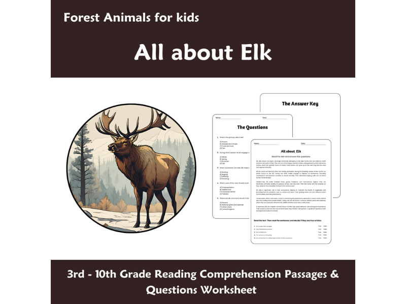 All About Elk - Reading Comprehension Passages & Questions Worksheets ...